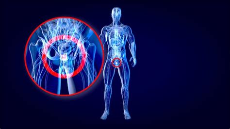 Ilustración 3d Abstracta De La Anatomía De La Próstata Foto Premium