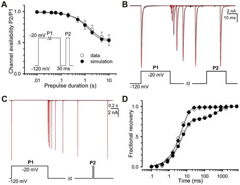 Comparison Of Slow Inactivation And Recovery Between The Data And