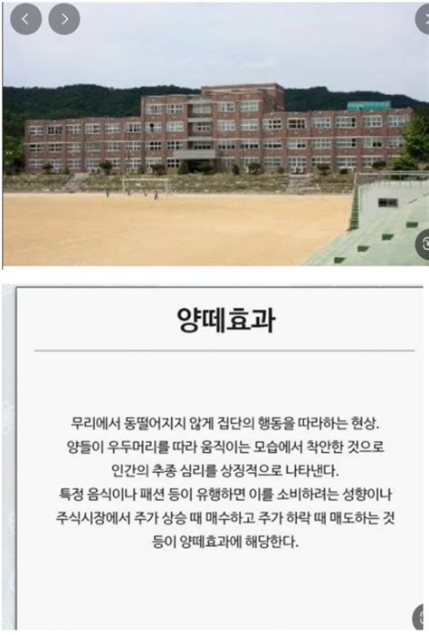 가장 심각한 중학교 문제 유머 움짤 이슈 에펨코리아