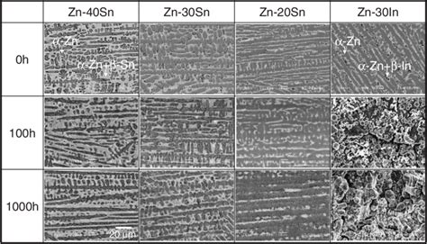 The Thermal Deformation Curves Of Each Alloy In The Temperature Range
