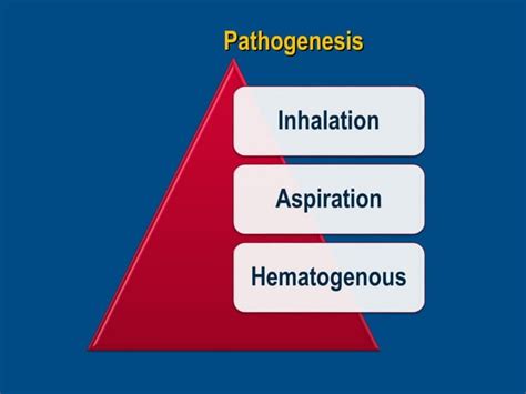 Pneumonia Classification Types And Causes Diagnosis Treatment