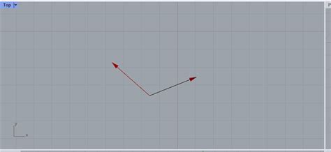 Rotate Vector Gives Wrong Result Grasshopper Mcneel Forum