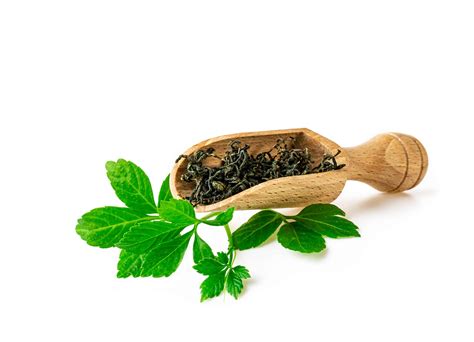 เจียวกู่หลาน Jiaogulan Hello Khunmor