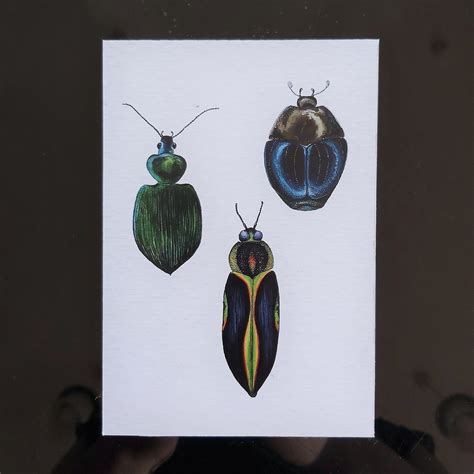 Postcard Set Of Four Beetle Artwork Mini Prints Wall Art Etsy