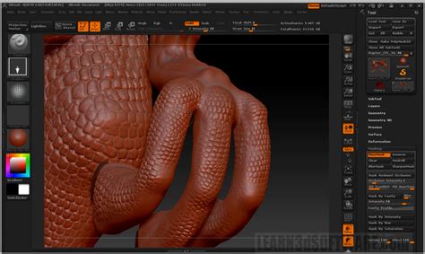 ZBrush 4 For Lightwave Users