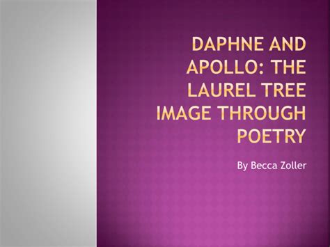 Daphne And Apollo The Laurel Tree Image