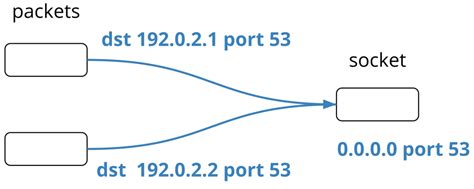 Socket 监听多地址与 Sklookup Bpf 的诞生 Csdn博客