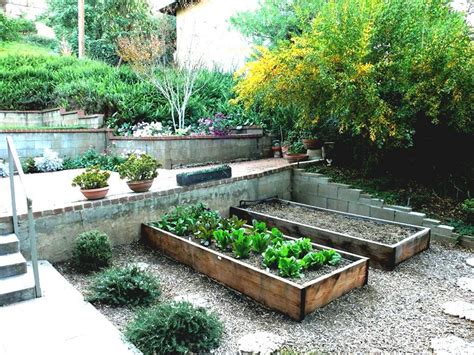 Terrace Vegetable Garden Ideas India