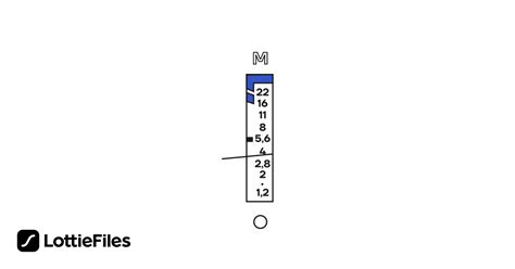 Camxatca의 무료 Comp4 애니메이션 로티파일