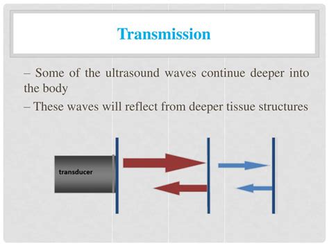 PPT Ultrasound PowerPoint Presentation Free Download ID