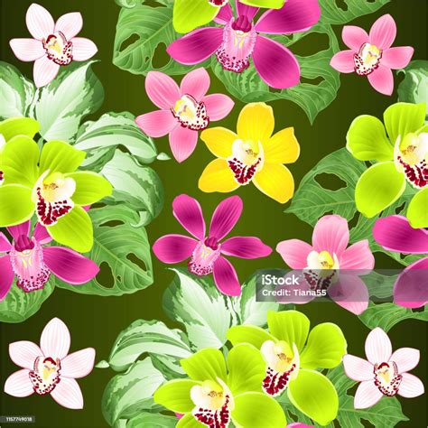 아름다운 발견 난초 손바닥 Philodendron 및 브루그만시아 빈티지 벡터 일러스트 레이션 편집과 열대 꽃 꽃 배열과 국경