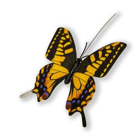 Fluture Zburator Sarsaila Jucarie Pentru Pisici Multicolor Emag Ro