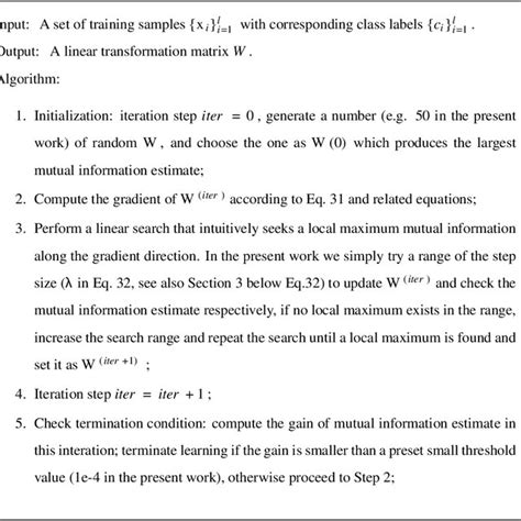 The Learning Algorithm For The Proposed Maximum Mutual Information