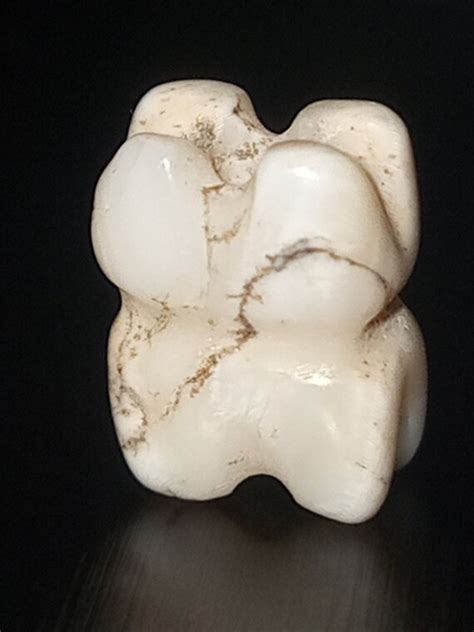 Ancient Mohenjo Daro Period Unique Tiny Shell Bead Fr… Gem