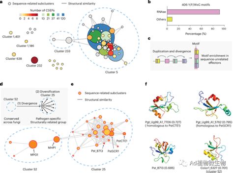 Nature Microbiology 研究揭示植物病原真菌效应蛋白的进化机制！ 知乎