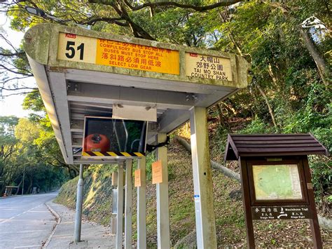 大帽山迎芒草｜最簡易路線1小時抵香港最高峰 山全部都係山