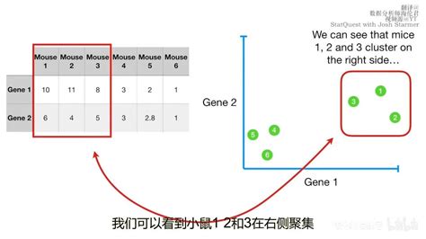 【中字】主成分分析法（pca） 分步步骤解析 看完你就懂了！ 哔哩哔哩