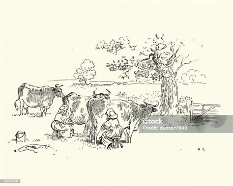 현장에서 젖소를 착유하는 밀크메이드 빅토리아 시대 19세기 우유에 대한 스톡 벡터 아트 및 기타 이미지 우유 우유 짜는 아가씨 일러스트레이션 Istock