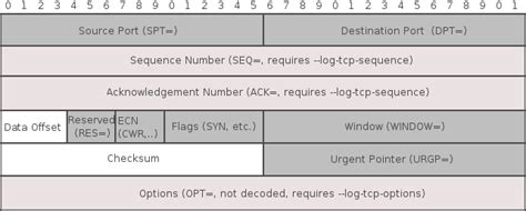 Chapter 3 Transport Layer Attacks And Defense