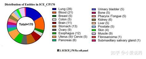 Cell Panel筛选服务敏感细胞株筛选服务肿瘤细胞系筛选服务 知乎