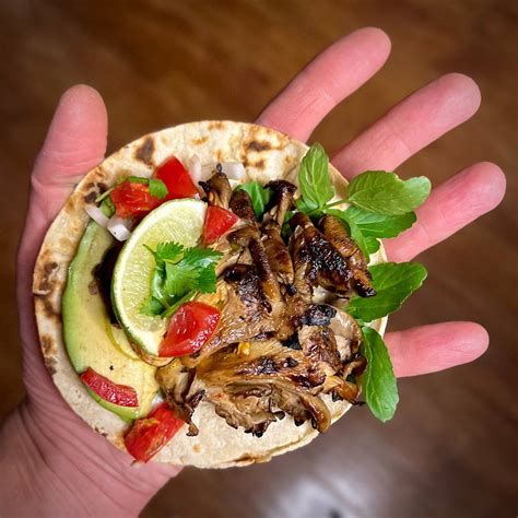 5 Of The Best Blue Oyster Mushroom Recipes North Spore