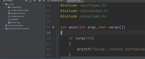 Cc网络编程笔记andwslclion环境配置clion Wsl Csdn博客
