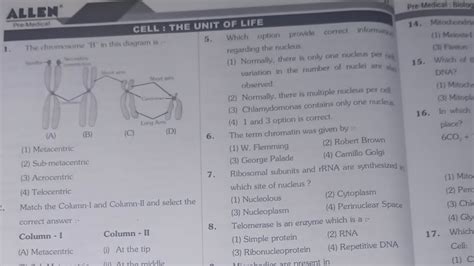 Neet Biology Notes The Cell Division Cell Cycle Cbse Tuts