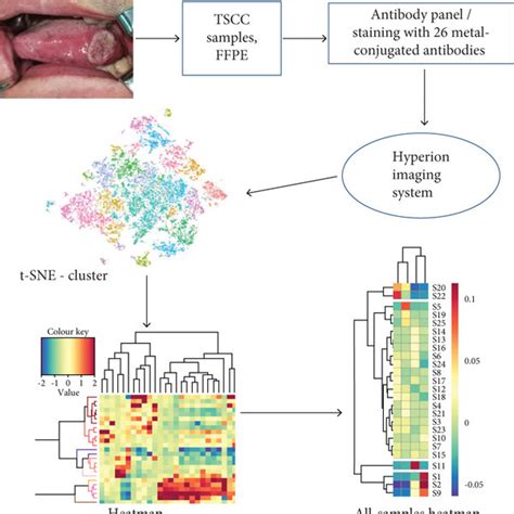 Overall Study Design Hyperion Imaging System Was Utilized To Detect