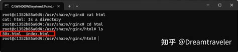 Windows Docker玩转Nginx从零配置到自定义欢迎页 知乎