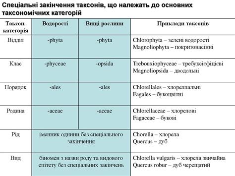 Поняття про систематику як науку презентация онлайн