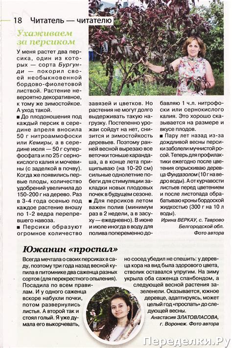 Садовод и огородник № 10 май 2020 * Переделки.Ру