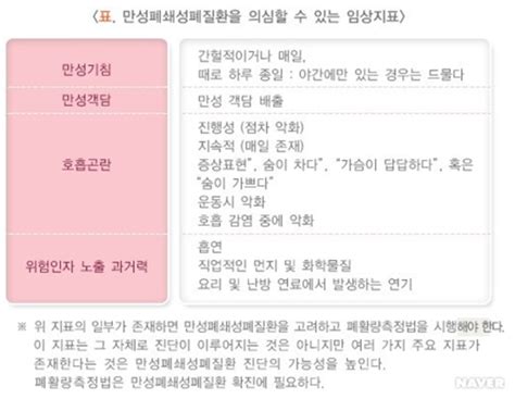 Pulmonary Diseasecopd 문헌고찰 간호진단 만성폐쇄성 폐질환 Chronic Obstructive 인기정보 포럼