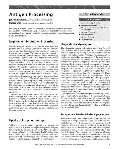 Pdf Antigen Processing