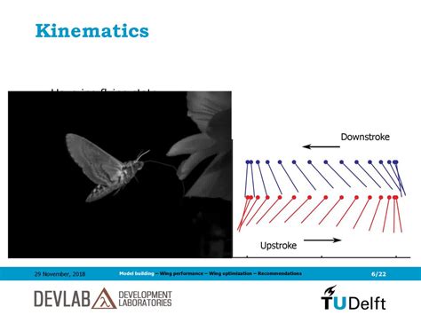 The Optimization Of The Flapping Wings For A Micro Air Vehicle Mav Ppt Download