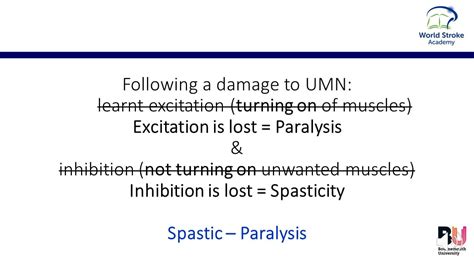 Paralysis Spasticity World Stroke Academy