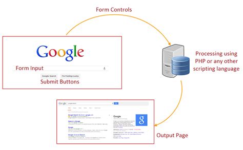 How To Create Forms In HTML WebNots