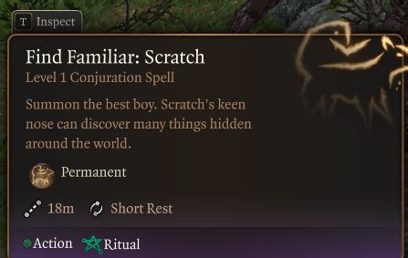Baldur S Gate 3 Summon Scratch Deltia S Gaming
