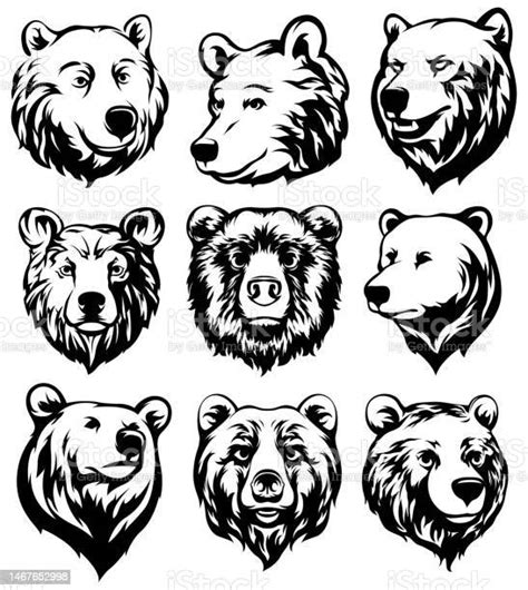 곰의 머리 추상 캐릭터 그림 변형 세트 엠블럼에 대 한 그래픽 로고 디자인 서식 파일입니다 초상화의 이미지입니다 검은색에 대한 스톡 벡터 아트 및 기타 이미지 Istock