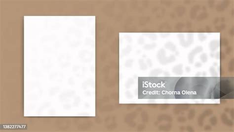 빈 종이 공백을 모의다 창에서 치타 프린트 그림자를 반사 사실적인 실루엣 효과 배경 벡터 0명에 대한 스톡 벡터 아트 및 기타 이미지 Istock