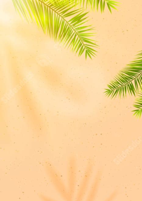 海灘上的簡單夏季樹葉 Word邊框背景圖免費下載 Slidesdocs