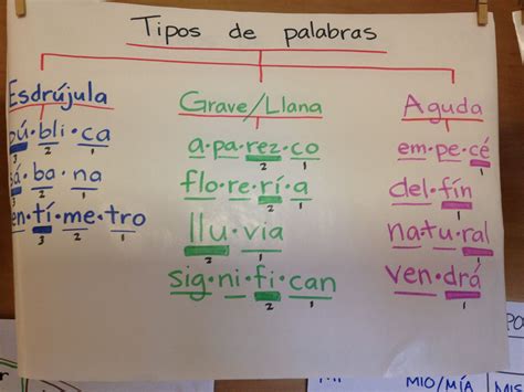 Los Acentos Tipos De Palabras Examples Of Words That Break The