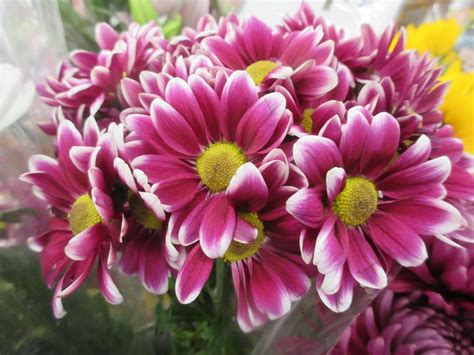 Supermarket Flora 2 | Smithsonian Photo Contest | Smithsonian Magazine