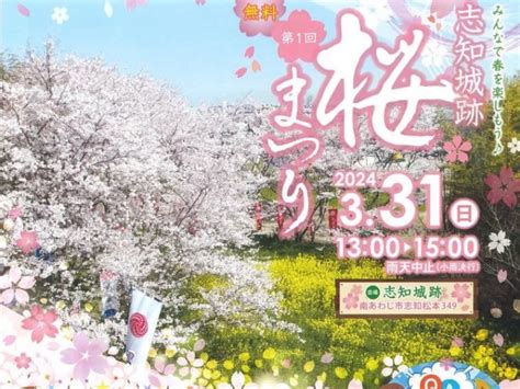 第1回志知城跡桜まつり｜志知城跡（南あわじ市志知松本）｜2024331 いいね淡路島
