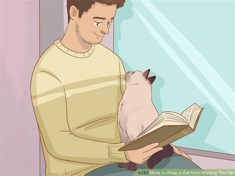 How To Keep A Cat From Waking You Up 10 Steps With Pictures