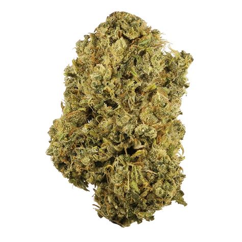 Puff Xtrax Hhc Stix 2g Disposable Vape Durban Poison Puff Xtrax