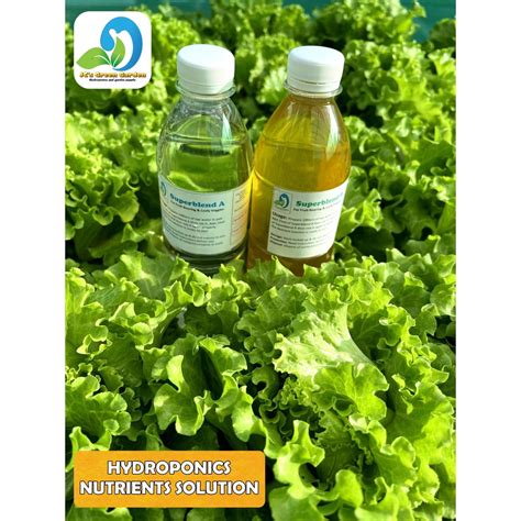 Hydroponics Nutrient Solution 1pair Of 500ml Superblend For Hydrophonics No Need Ph Meter