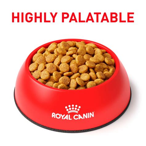 Feline Urinary So® Aging 7 Calm Royal Canin Us