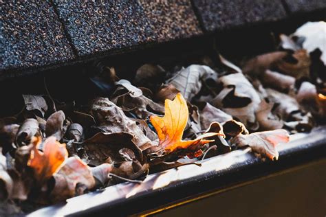 West Warwick Gutter Cleaning Professional Service