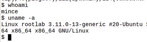 Python Ile Pty Reversebind Connection Mehmet Ince Information Security