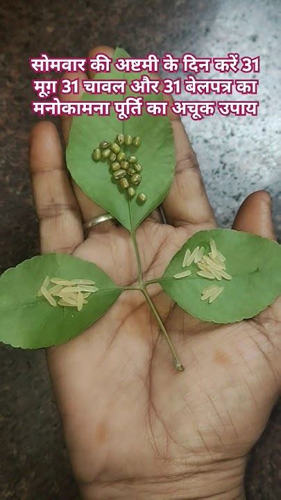 सोमवार की अष्टमी के दिन करें 31 मूंग 31 चावल और 31 बेलपत्र का मनोकामना